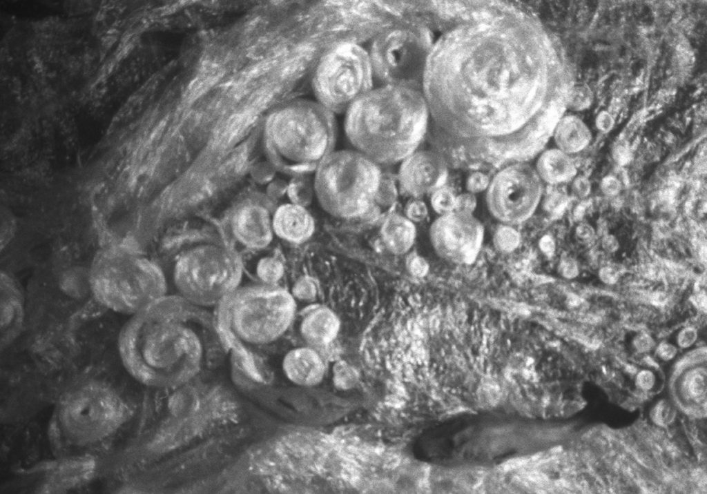 Fotografía estenopeica de Elsa Medina en el CaSa - Sucedió en Oaxaca