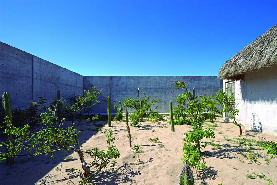 Casa Wabi, creación del arquitecto japones Tadao Ando | Sucedió en Oaxaca